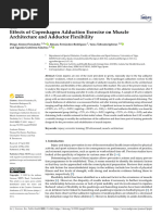 Askling L-Protocol for Hamstring Rehab | PDF | Electromyography ...