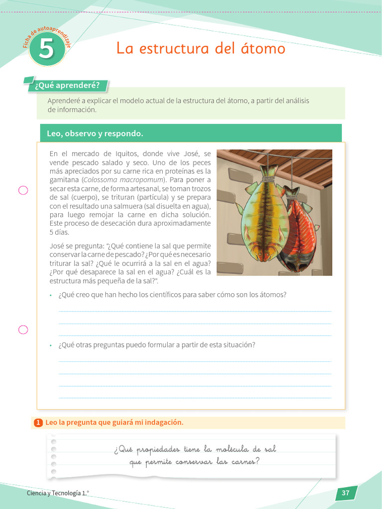 Estructura del átomo y conservación de sal | PDF | Electrón | Cloruro ...