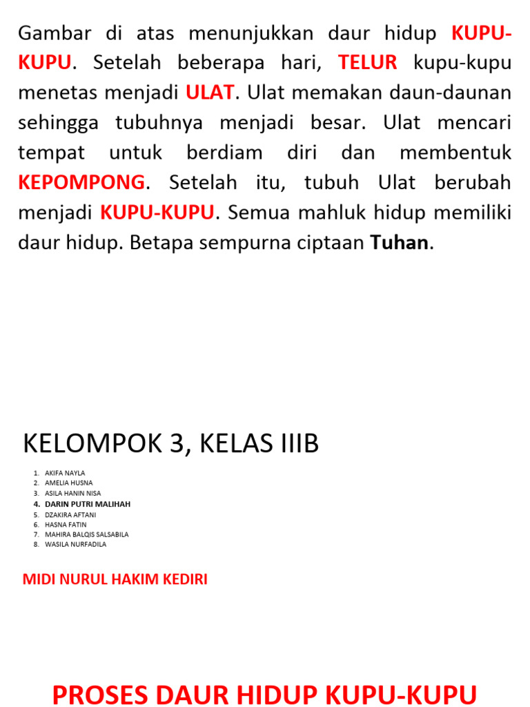 Gambar Di Atas Menunjukkan Daur Hidup KUPU | PDF