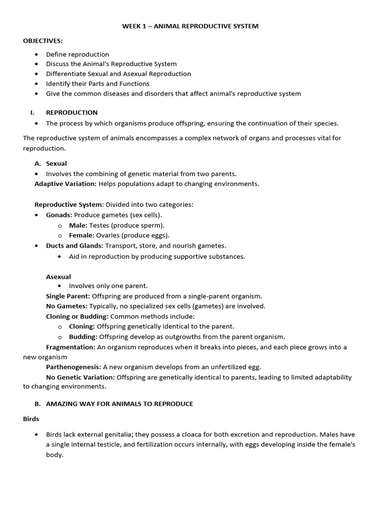 Week 1 Animal Reproductive System | Download Free PDF | Reproductive ...