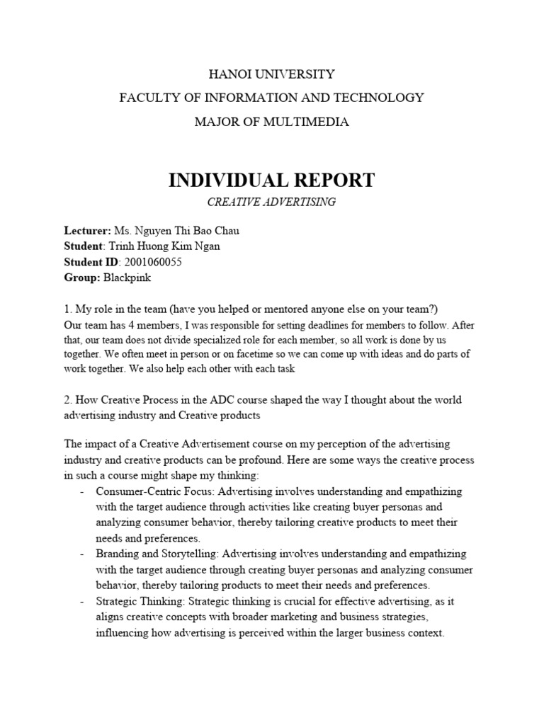 Individual Report | PDF | Advertising | Target Audience