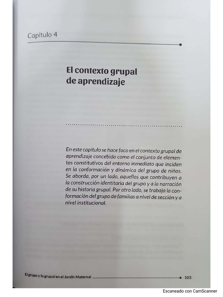 El Grupo y Lo Grupal Cap. 4 | PDF