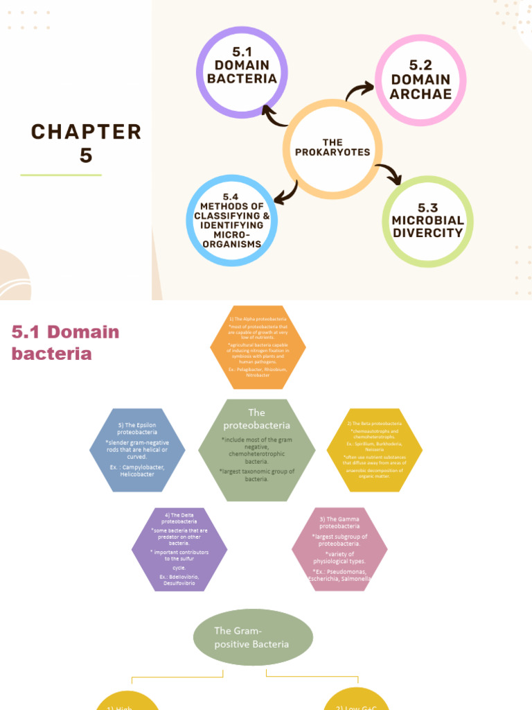 bio 461 mindmap | PDF | Bacteria | Dna