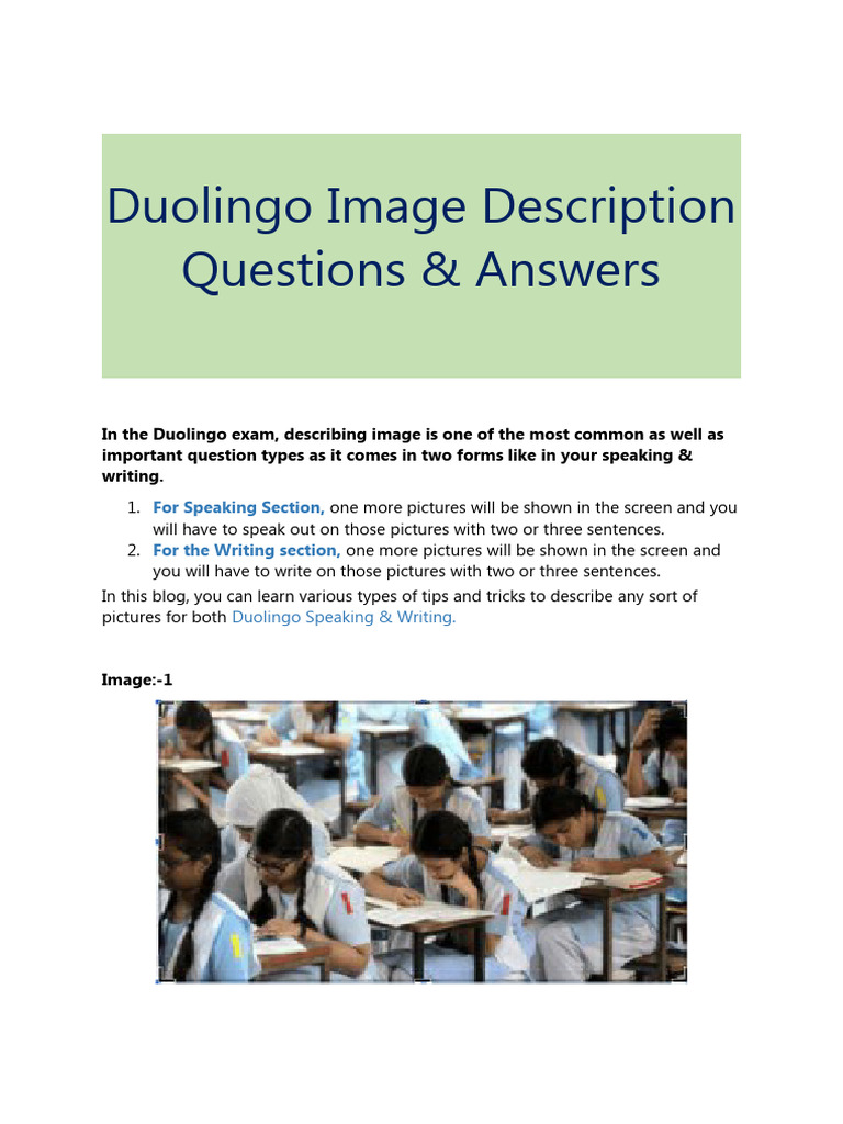 Duolingo Image Description Guide | PDF | Language Arts & Discipline ...