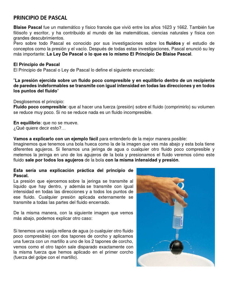 Aplicaciones del Principio de Pascal | PDF | Cantidad | Mecánica de fluidos