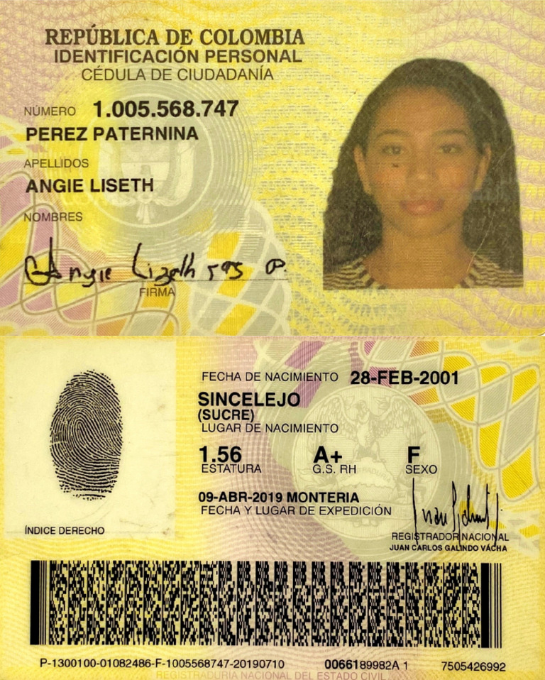 Documento de Identidad | PDF