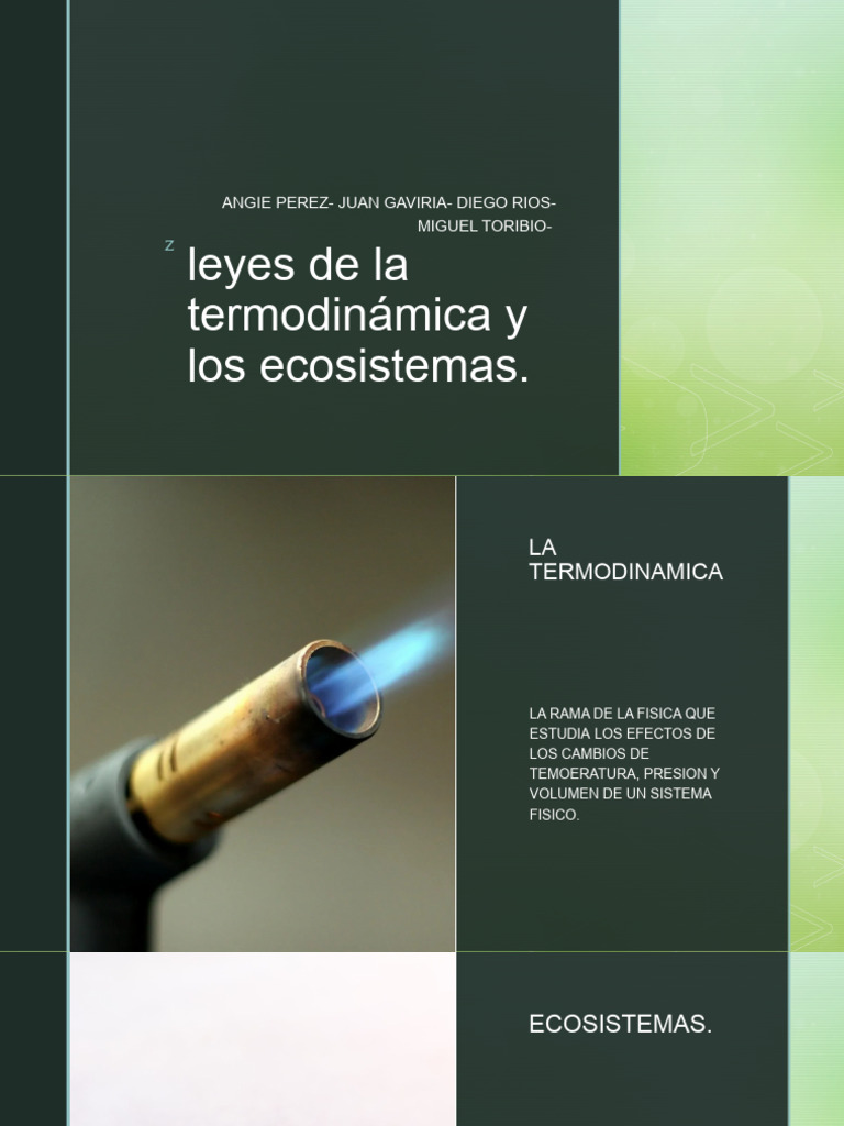 leyes de la termodinámica y los ecosistemas | PDF | Termodinámica | Ciencias Naturales