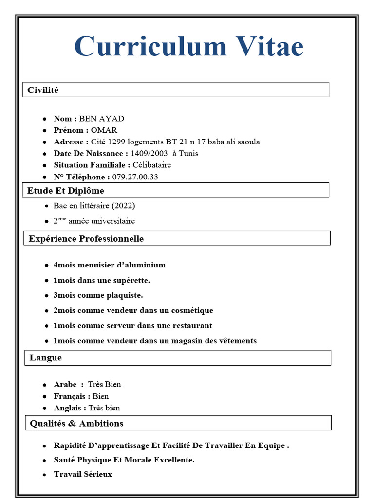 Ben Ayad Omar CV | PDF