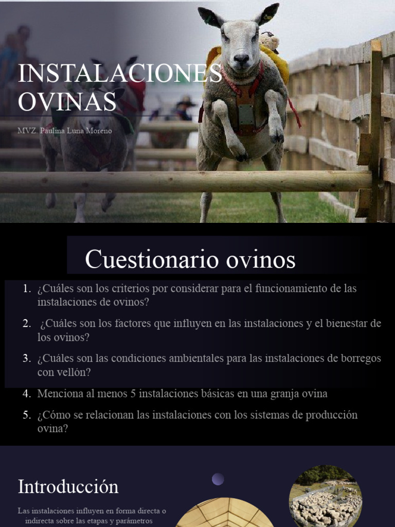 Instalaciones Ovinos | PDF | Oveja | Alimentos