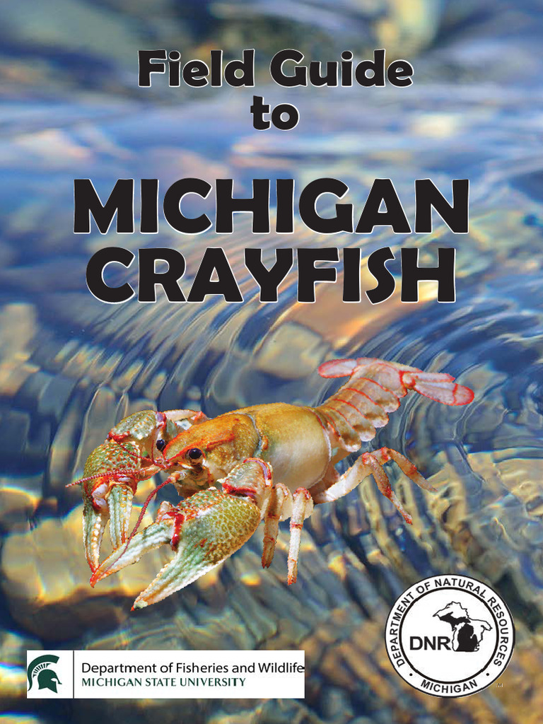 Michigan Crayfish Guide | PDF | Earth Sciences