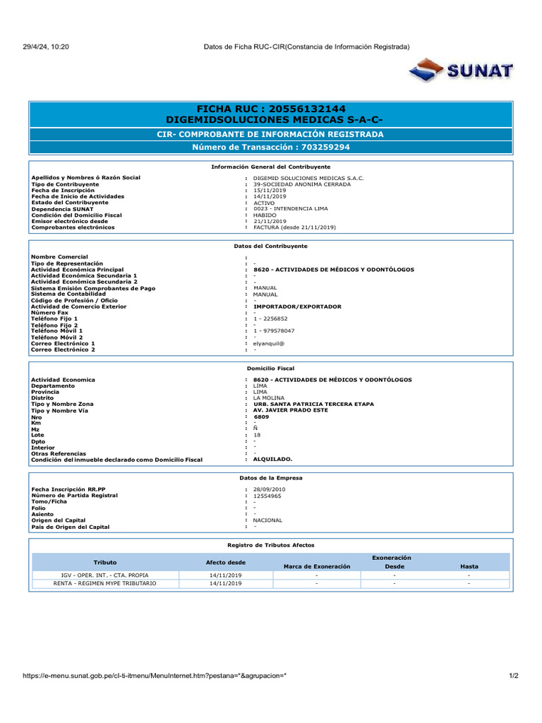 Ficha Ruc 2024 | PDF