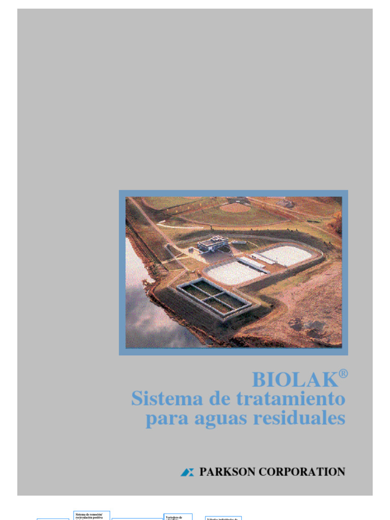 BL501S 398 Biolac System S | PDF