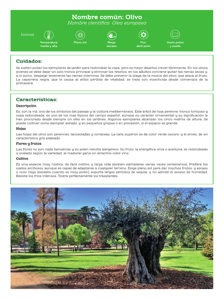 Ficha Planta Ejemplo | PDF