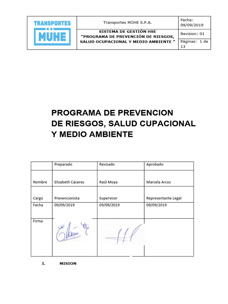 Programa Prevencion de Riesgo y Salud Ocupacional Mühe | PDF | Seguridad y salud ocupacional ...