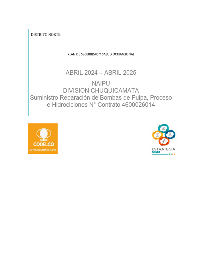 Plan de SSO EECC 2024 2025 DN | PDF | La seguridad informática | Seguridad