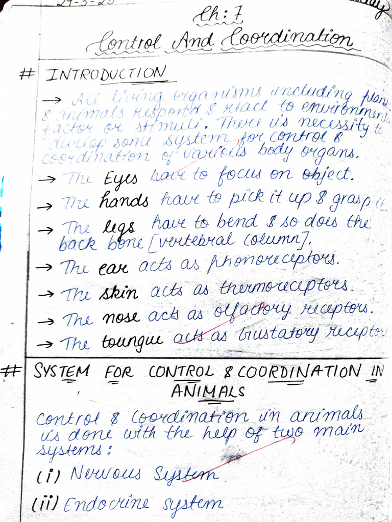 Bio Notes CH 7 | PDF