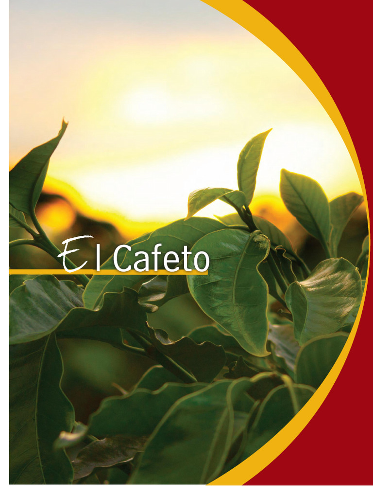 Unidad 2 Cafe, Taxonomia y Fisiologia | PDF
