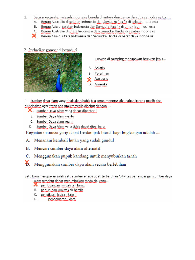 Ips Kls 6 | PDF