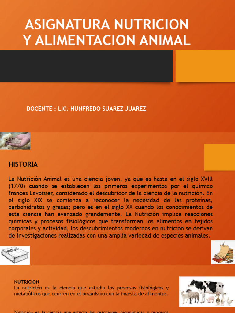 Tema 1 Importancia Nutricion y Alimentacion Animal | PDF | Carbohidratos | Nutrición
