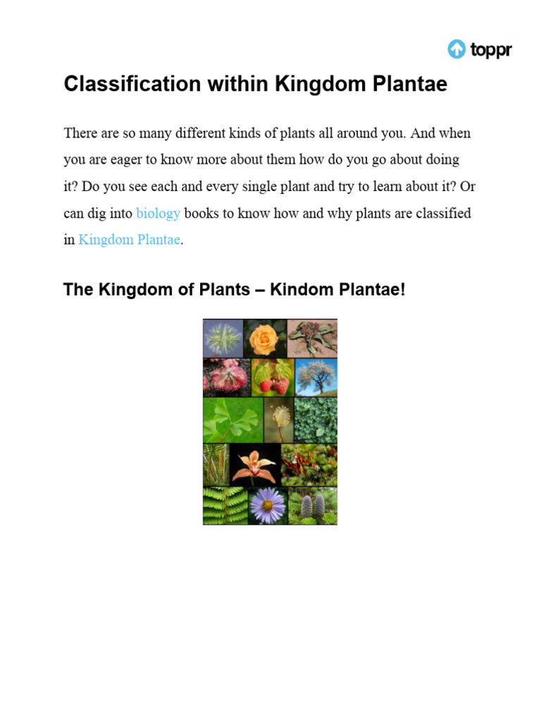 CBSE Class 11 Biology Chapter 3 Plant Kingdom Revision Notes | PDF ...