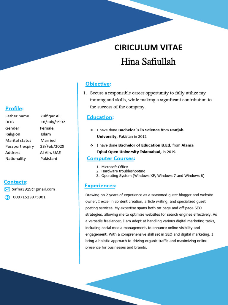 Hina CV-1 | PDF | Digital Marketing | Search Engine Optimization