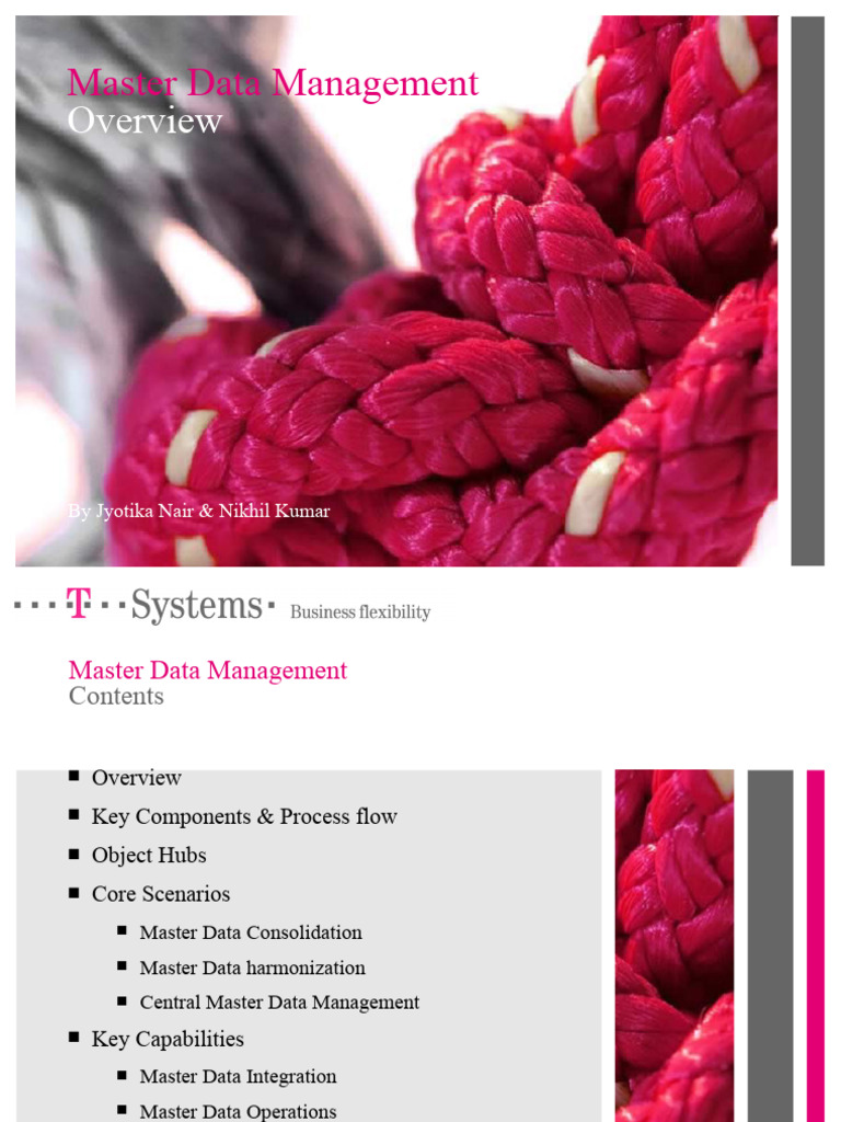 Master Data Management Guide | PDF | Data Quality | Information Retrieval