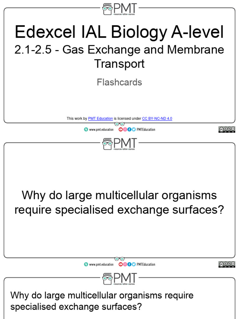 Gas Exchange & Membrane Transport Study Guide | PDF | Cell Membrane ...