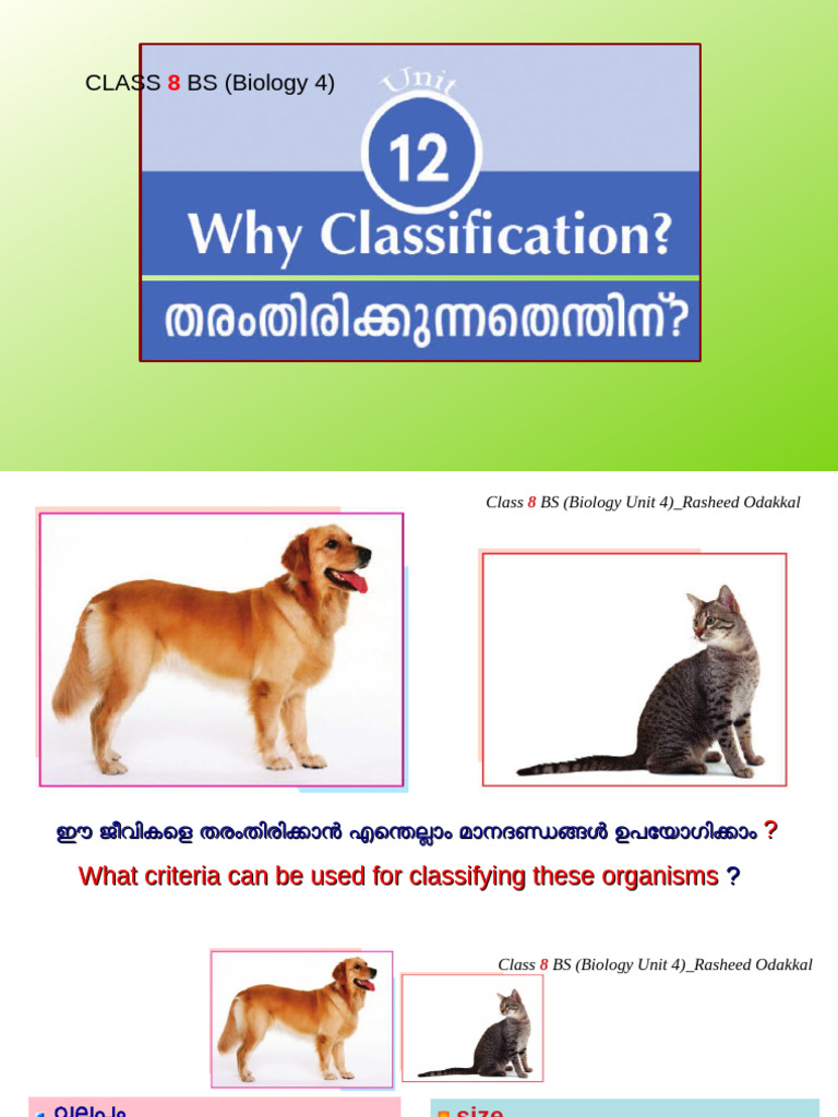 Class 8 BS (Biology Unit 4) SLIDES - Rasheed Odakkal | PDF