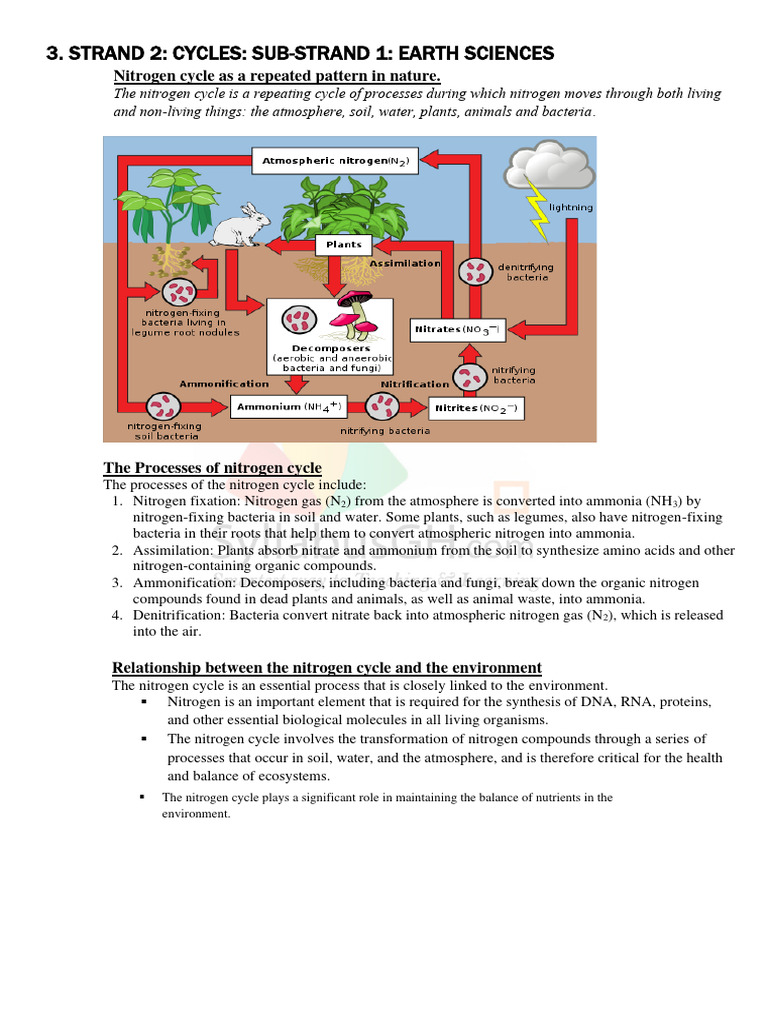 Earth Science | PDF | Eutrophication | Soil