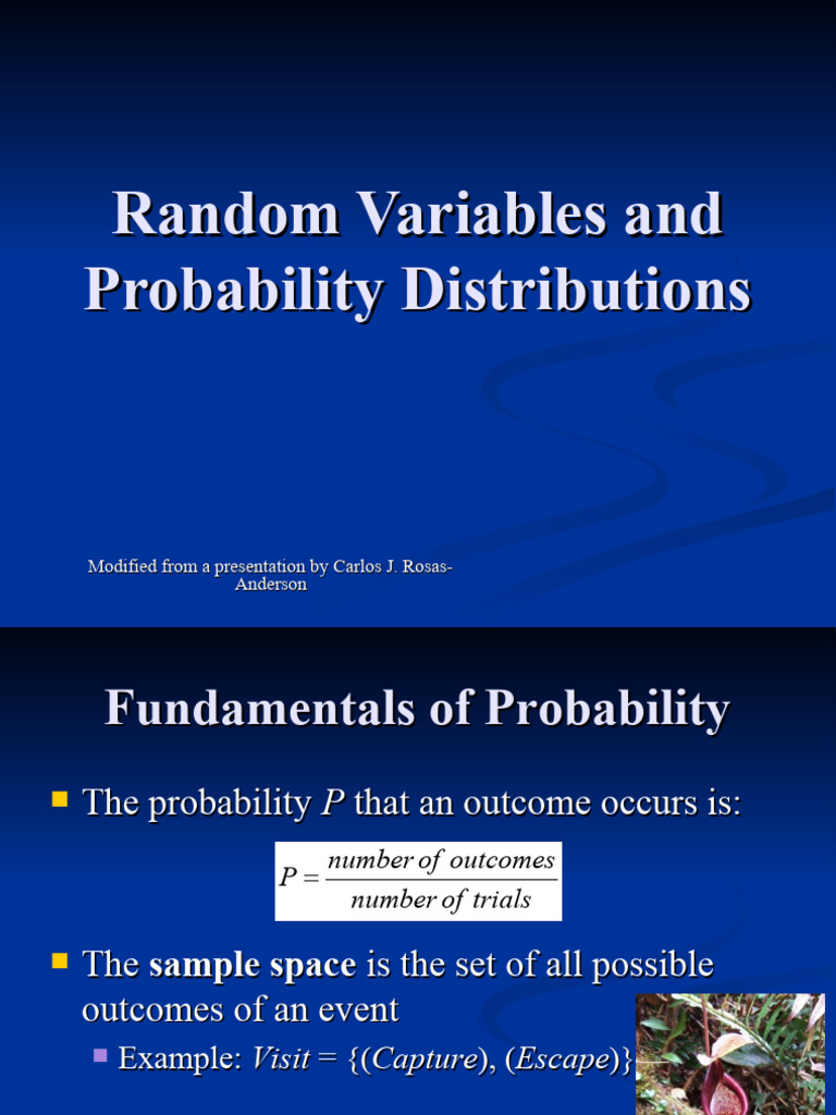 Lecture4 Probability Distributions | Download Free PDF | Probability Distribution | Random Variable