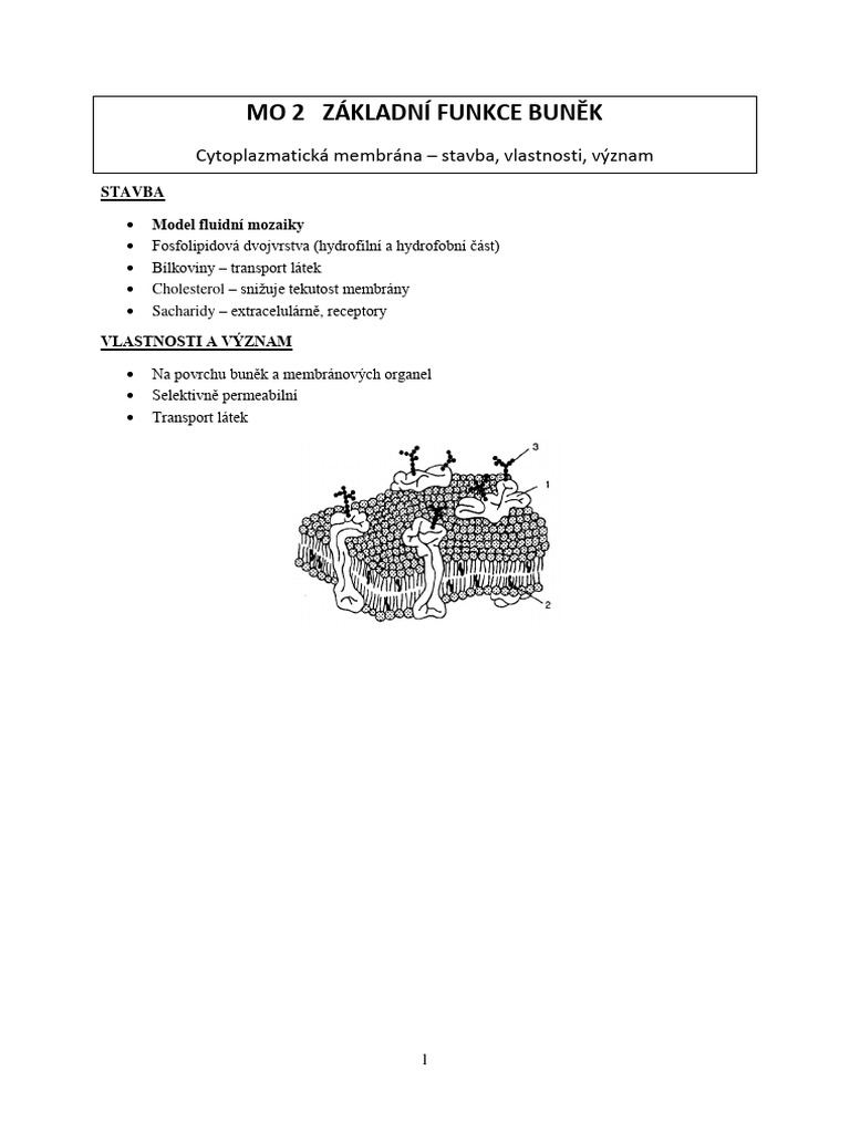 MO02 - Z Kladn" Vlastnosti Bunųk | PDF