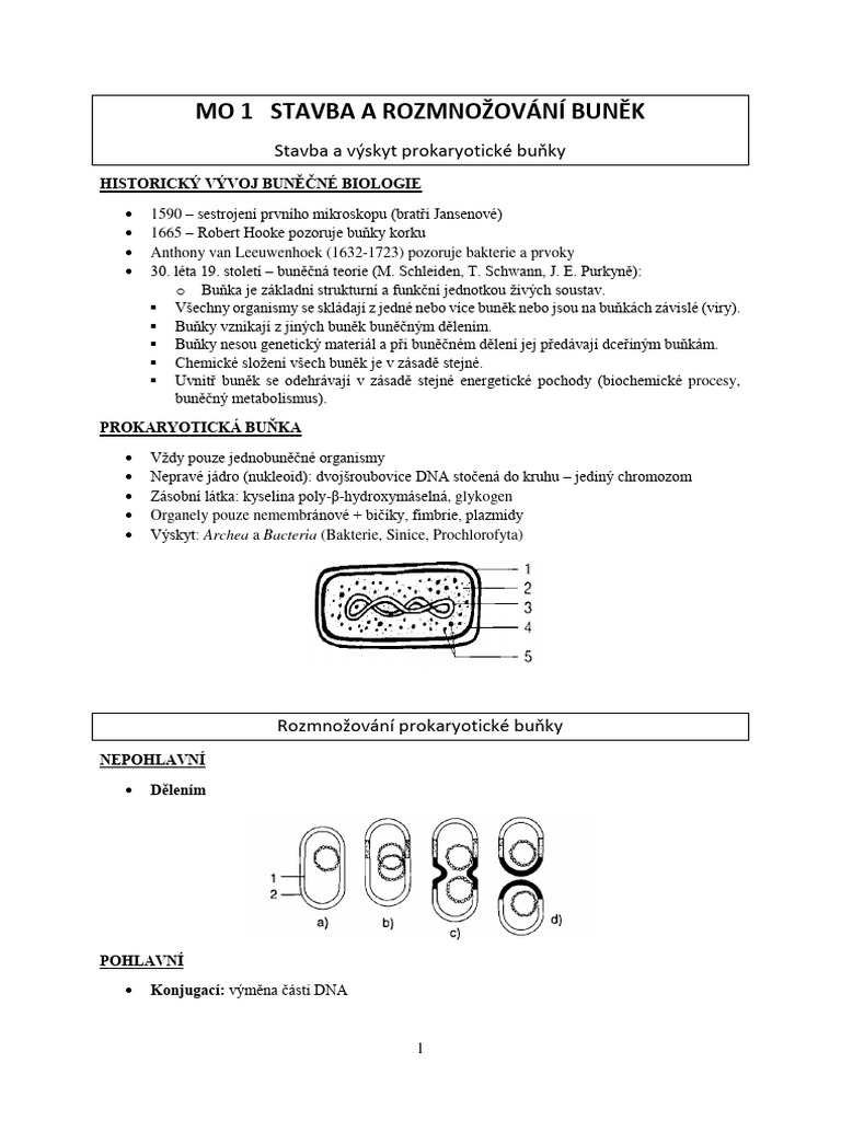 MO01 - Stavba A Rozmno Ov N¡ BunØk | PDF