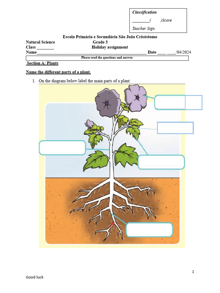 Grade 3 Natural Science Holiday Assignment | PDF | Wellness