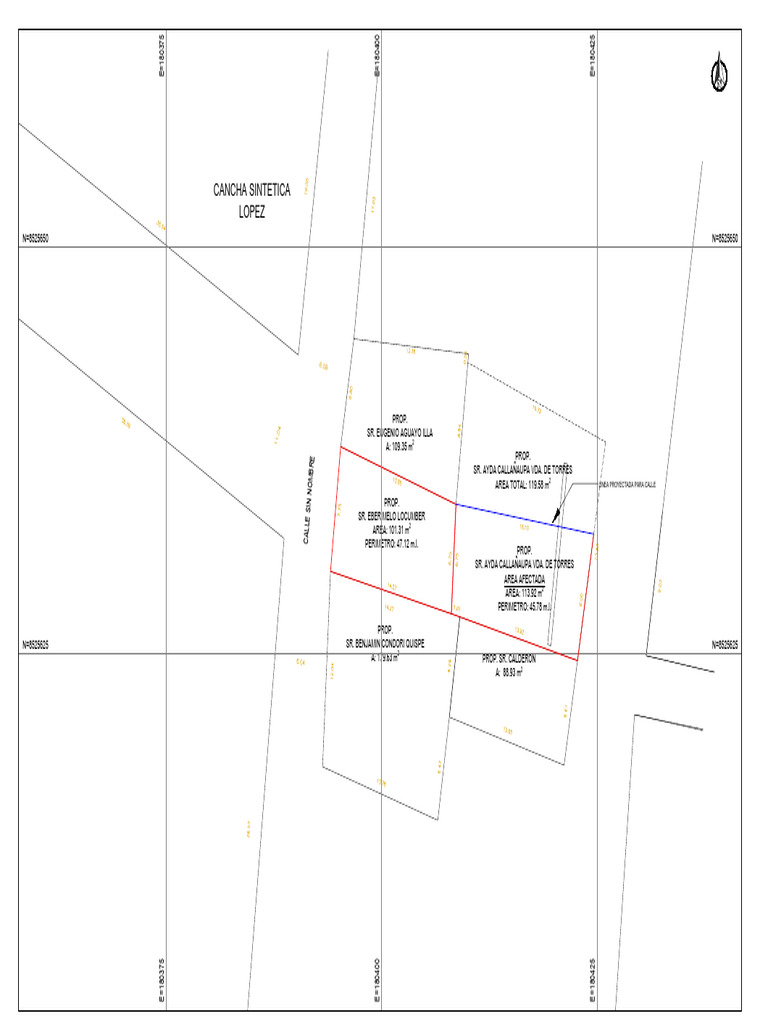 Sauseda Conflicto Ok | PDF