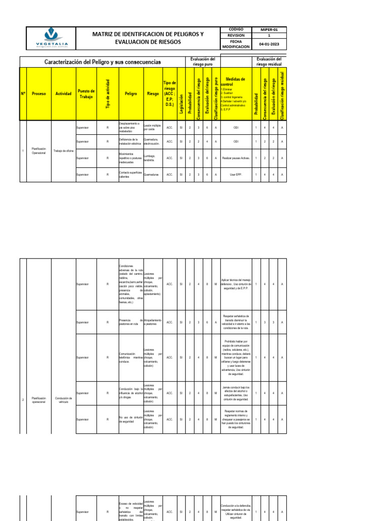 Matriz de Identificacion de Peligros Y Evaluacion de Riesgos | PDF | Causas de la muerte ...