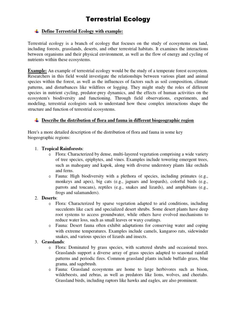 Terrestrial Ecology | PDF | Ecology | Rainforest