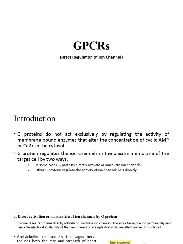 GPCRs and Ion Channel Regulation | PDF | Biology | Biochemistry