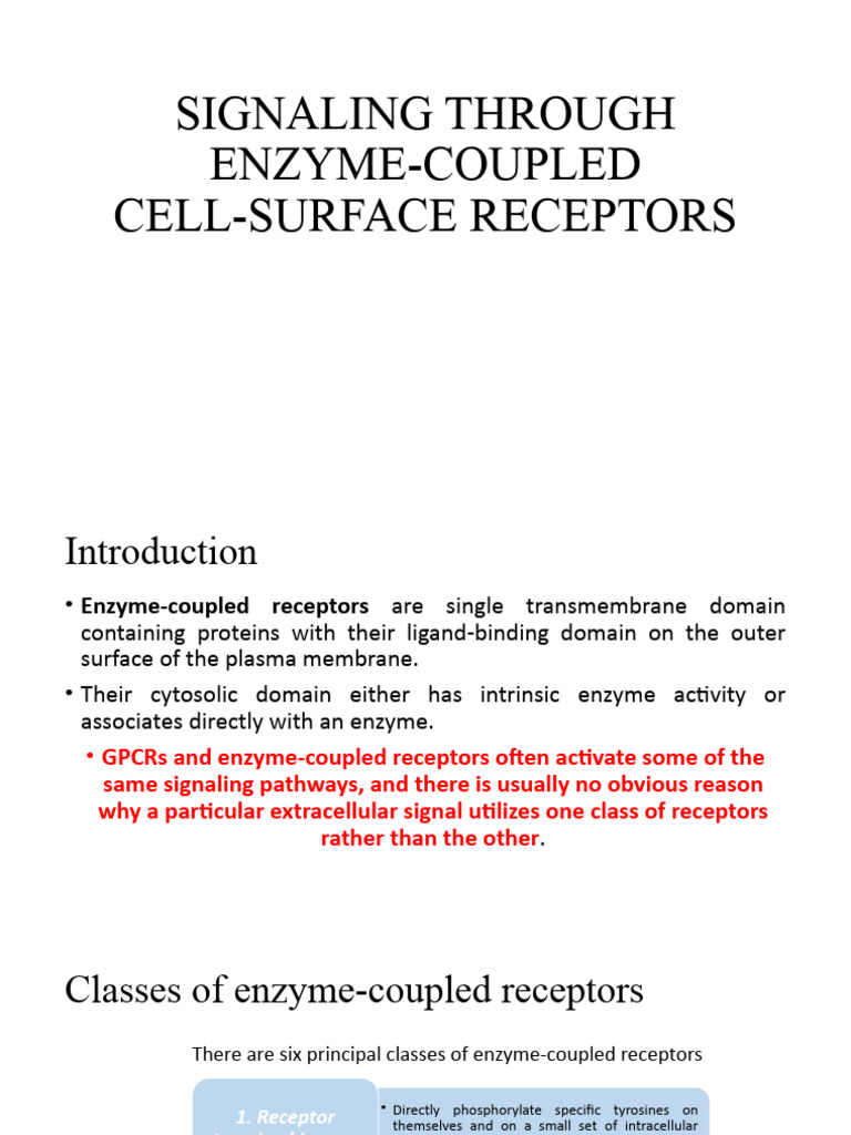 Enzyme-Coupled Cell Surface Receptors | PDF | Cell Signaling | Protein ...