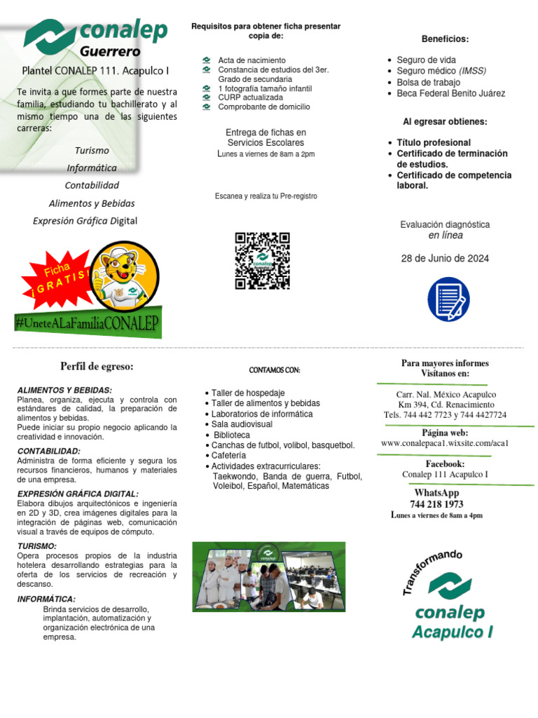 Triptico 2024 Carta | PDF