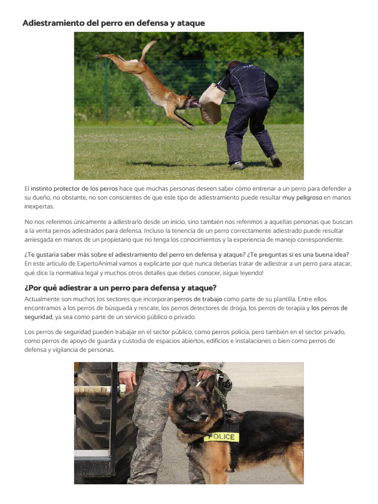 Adiestramiento del perro en defensa y ataque - expertoanimal.com | PDF ...