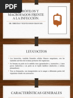 Neumocitos: Tipos y Funciones | PDF | Pulmón | Biología Celular