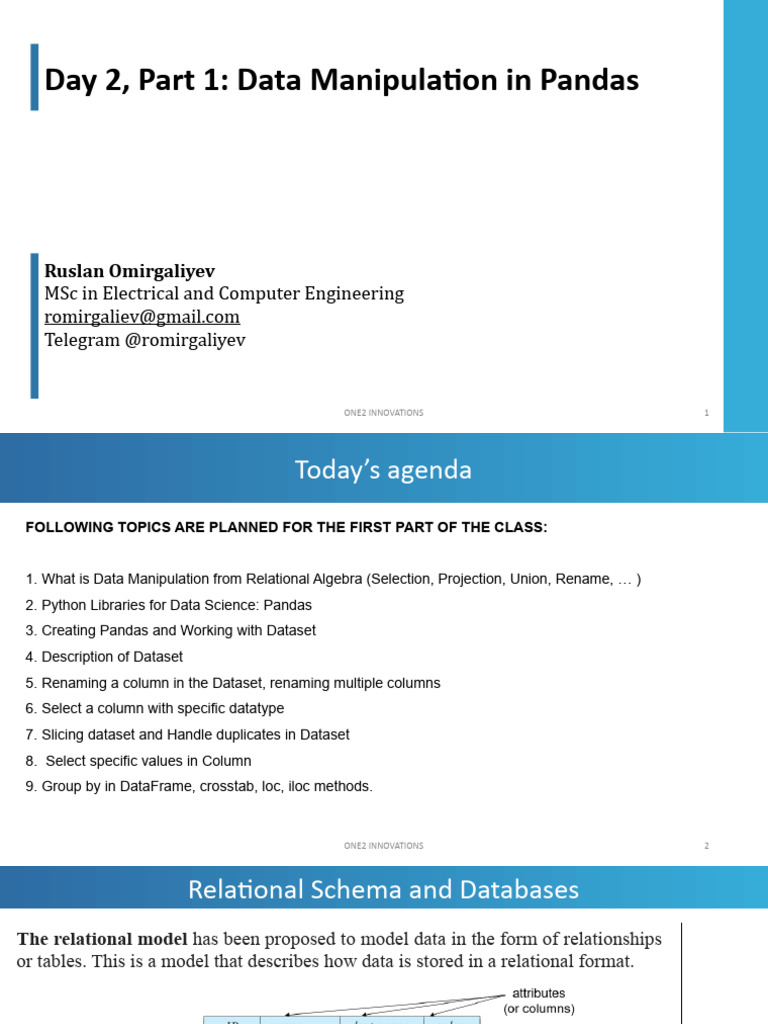 Day 2 Part 1 Data Manipulation | PDF | Employment | Python (Programming ...