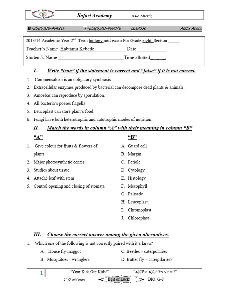 Grade 8 Biology | PDF | Leaf | Cell (Biology)