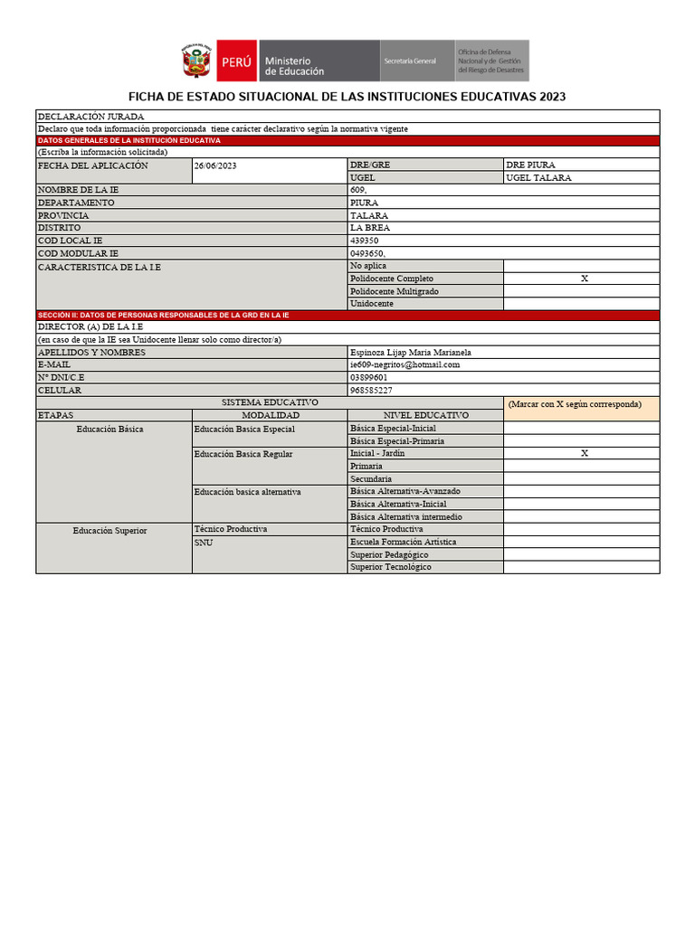 Ficha Estado Situacional 609 | PDF | Educación primaria