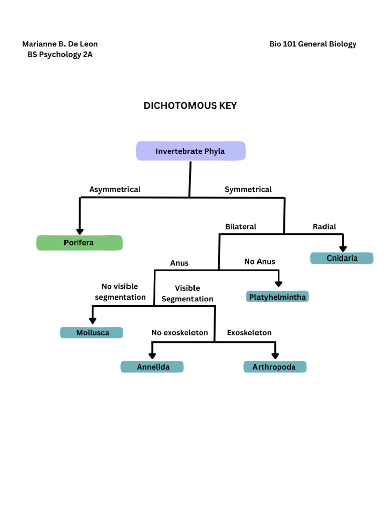 Dichotomous Key Bio | PDF