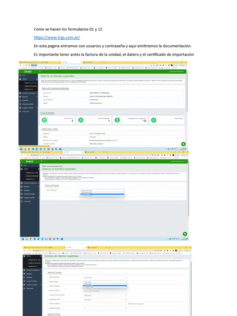 Como se hacen los formularios 01 y 12 | PDF
