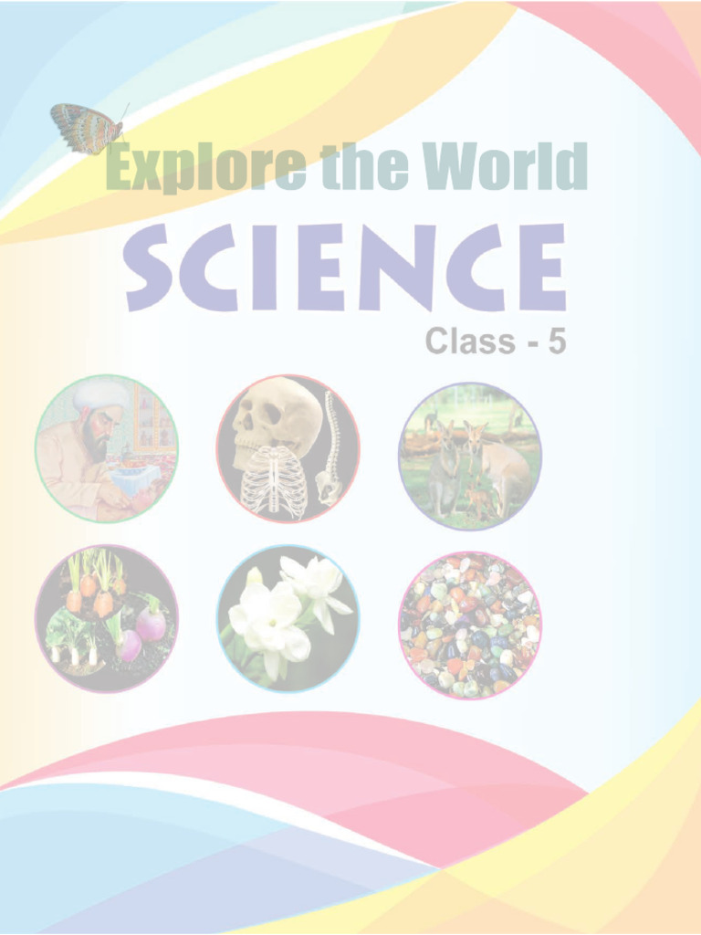 Class 5 Science Curriculum Overview | PDF | Science | Experiment