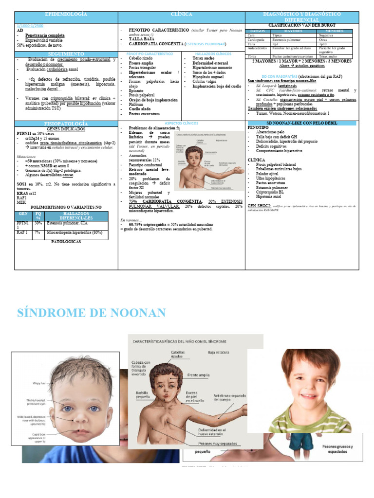 SD NOONAN | PDF | Genética | Enfermedades y trastornos humanos