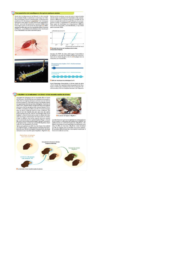 TP 12 Documents | PDF