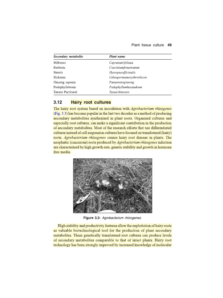 Hairy Root Culture | PDF